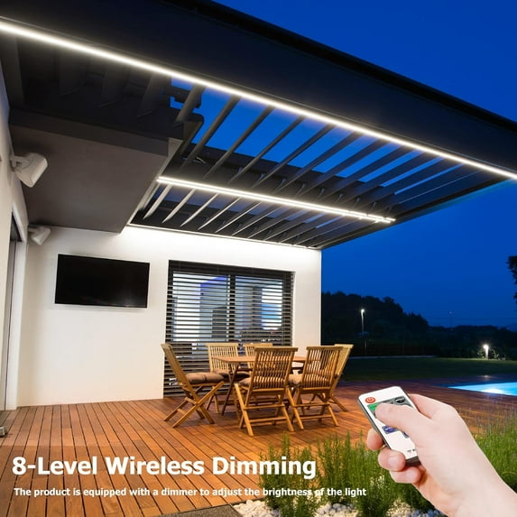 LIDUI-Neon Rope Lights, 16.4ft Rope Lights with Dimmable Remote and ...