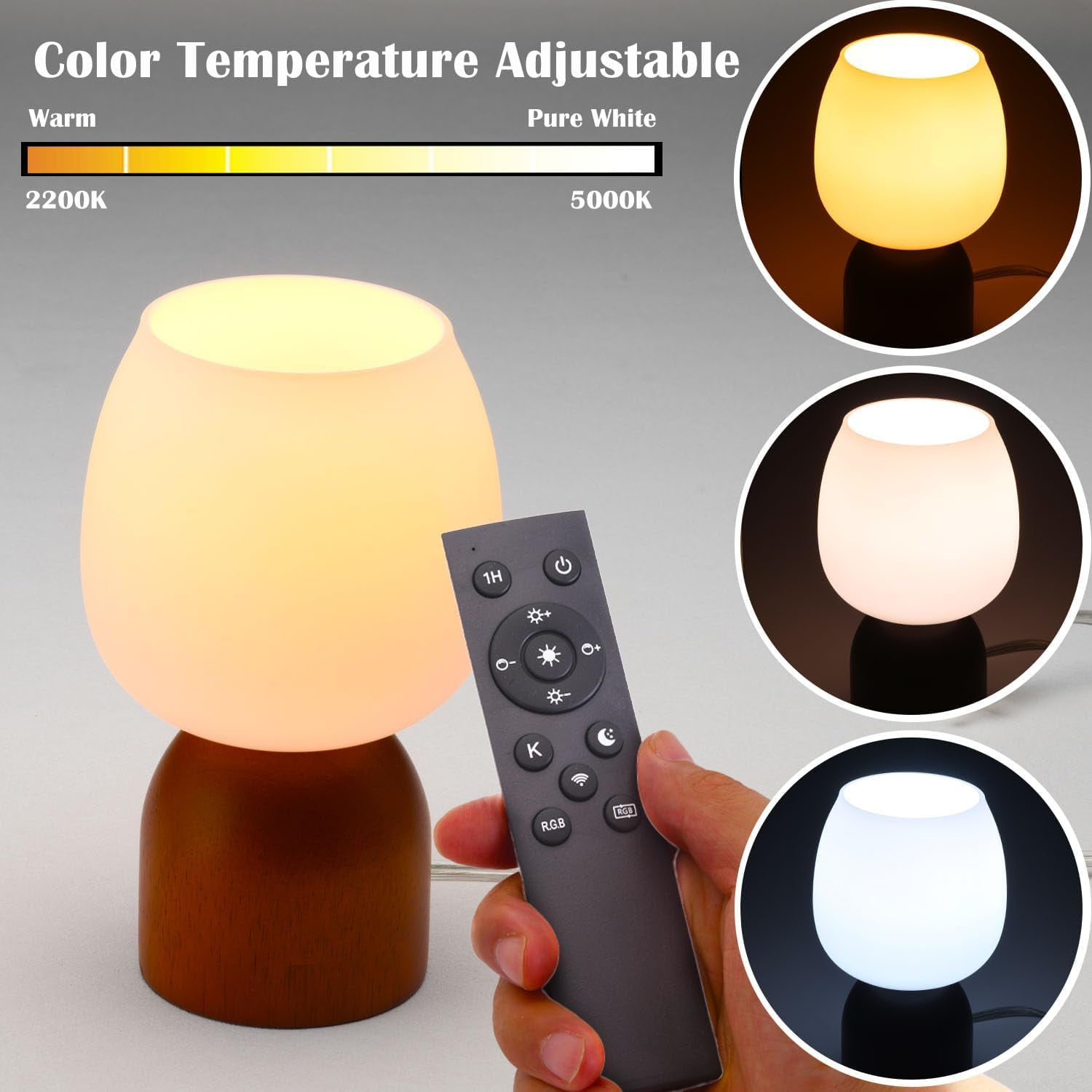 LIDUI-RGB Beside Table Lamp,Color Changing Desk Lamp,Plug in,Remote ...