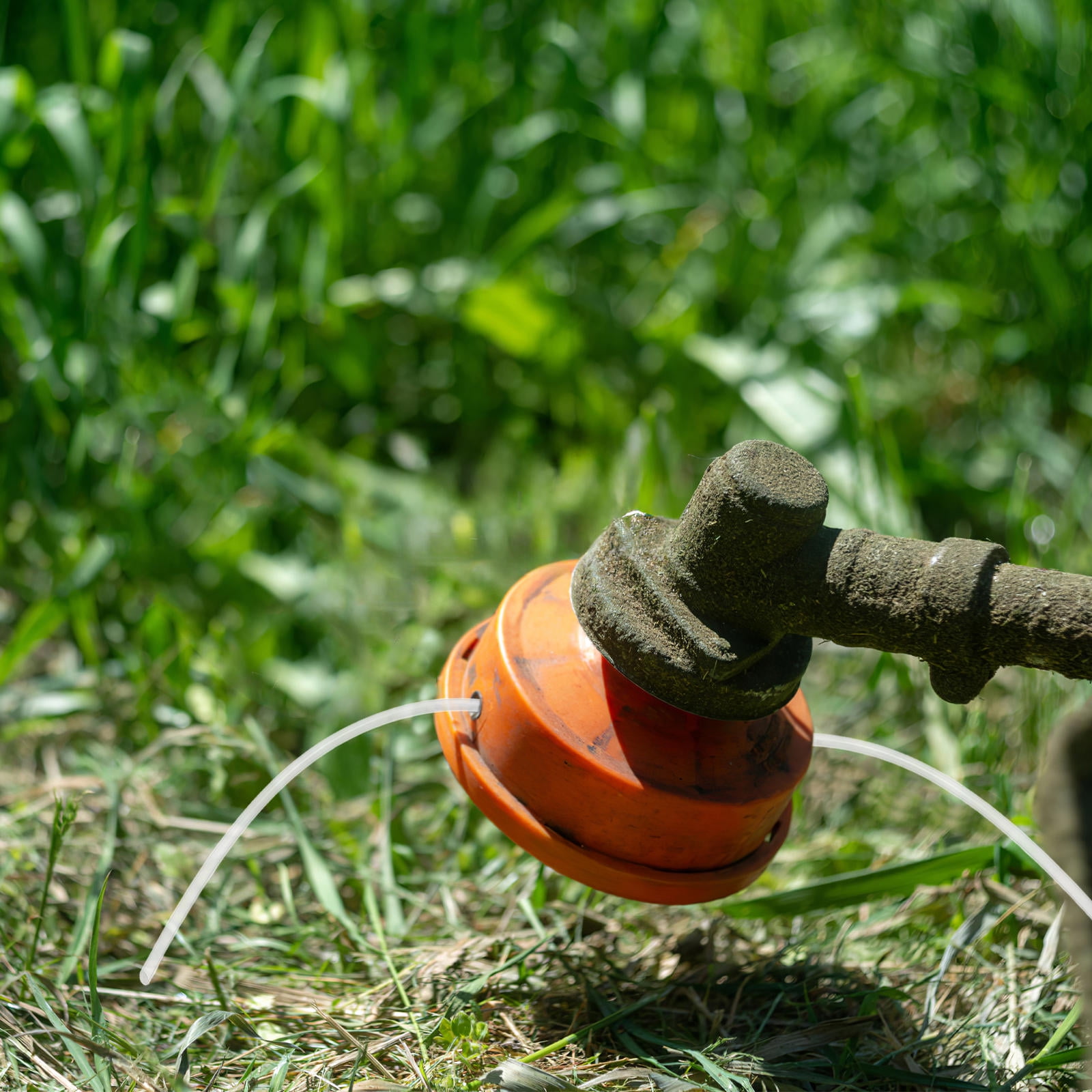 LIFKOME 1 Roll Mowing Trimmer Rope Mower Rope Practical Mower Line Lawn ...