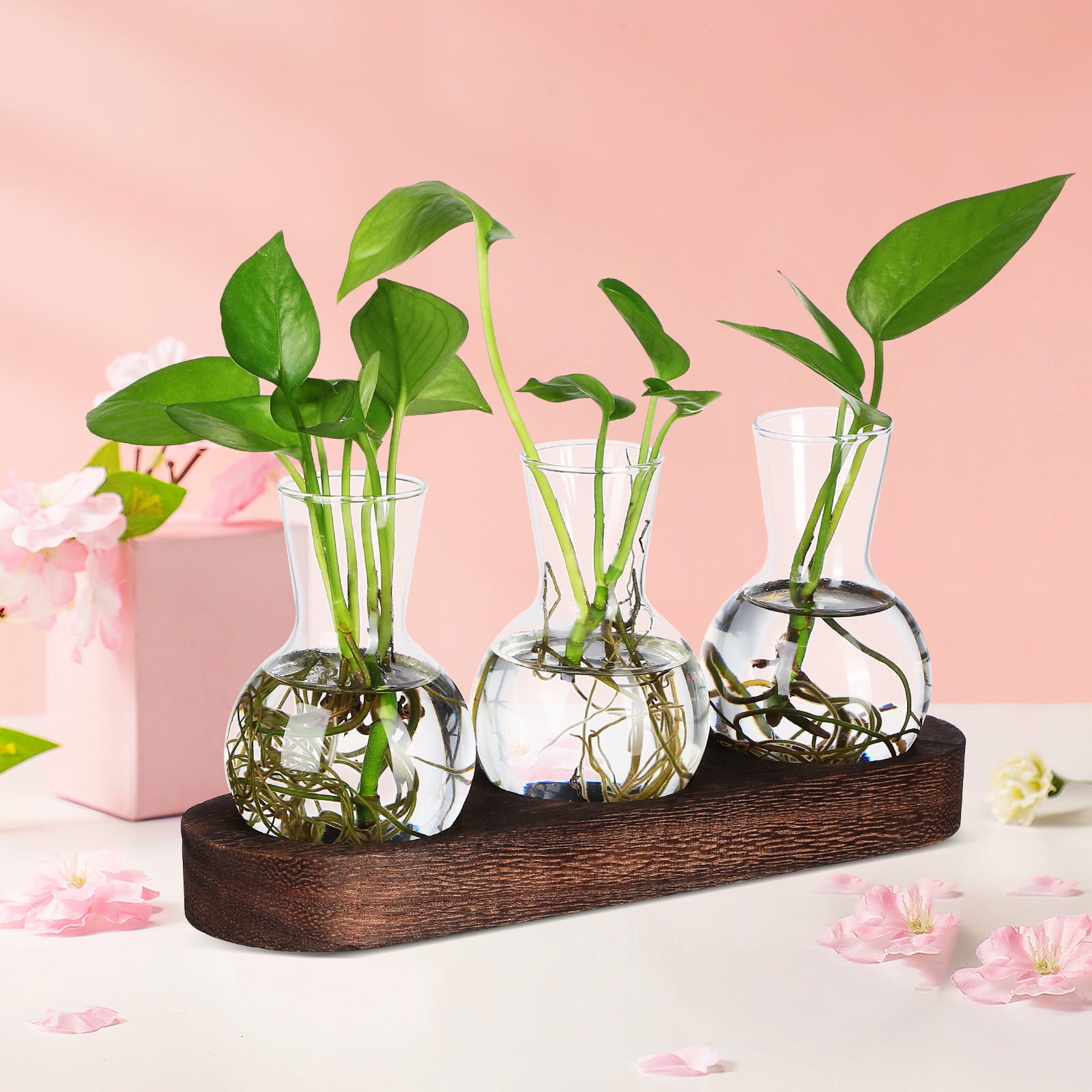 LIFKOME 1 Set Propagation Station Tabletop Glass Vase Hydroponic Plants ...