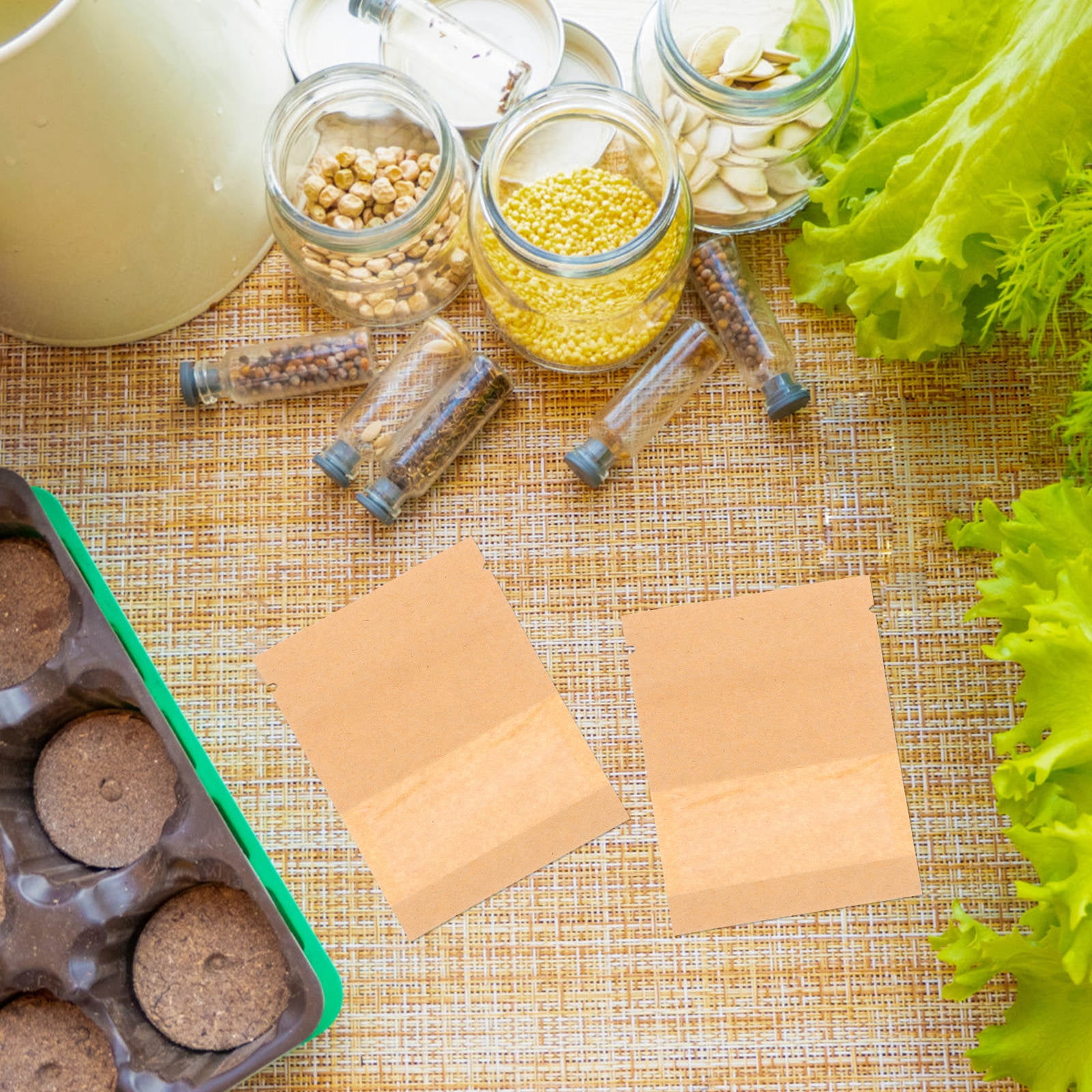 LIFKOME 100pcs Small Coin Seed Envelopes Small Tip Envelopes for Cash ...