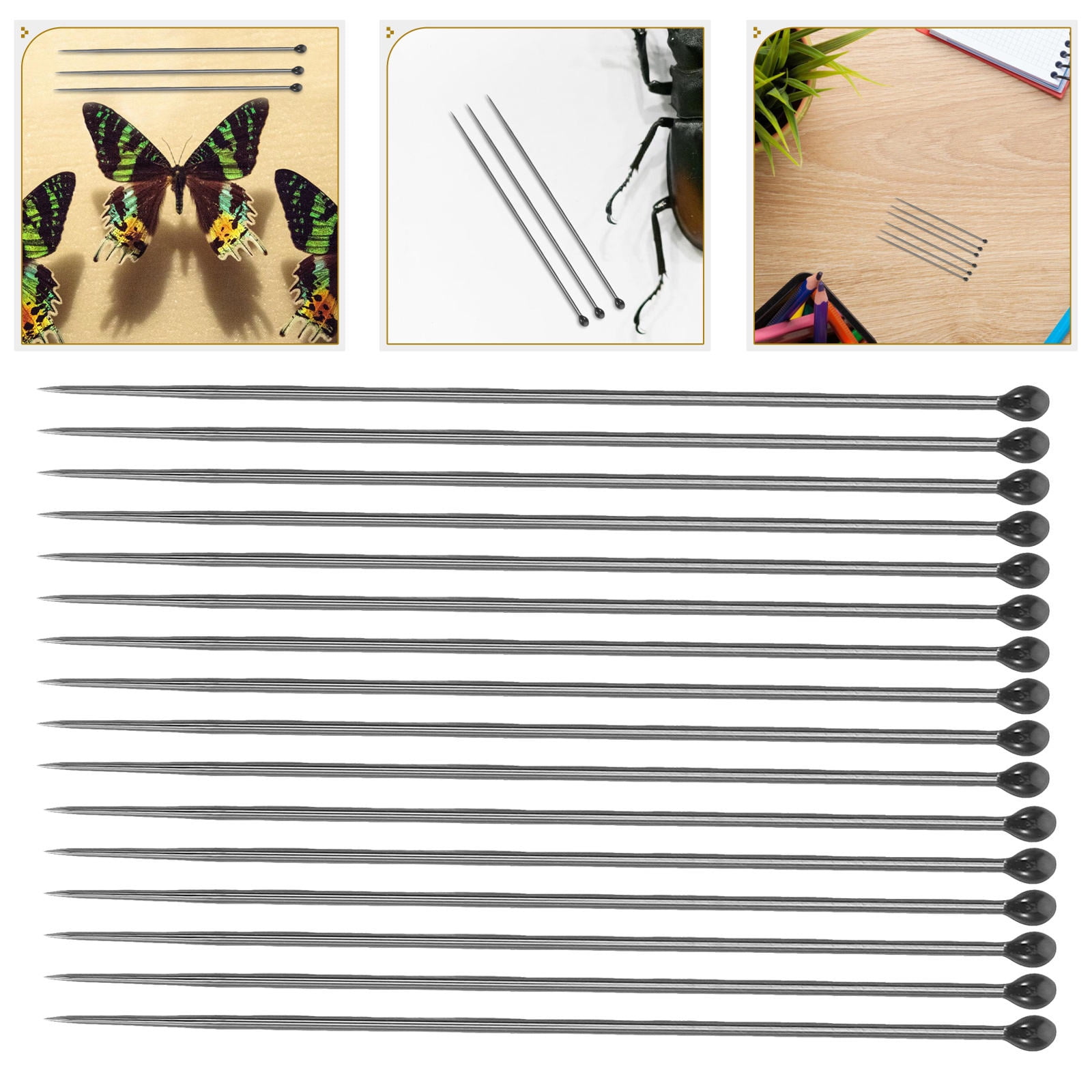 LIFKOME 100pcs Stainless Steel Insect Specimen Fixing Pin Kit Butterfly ...