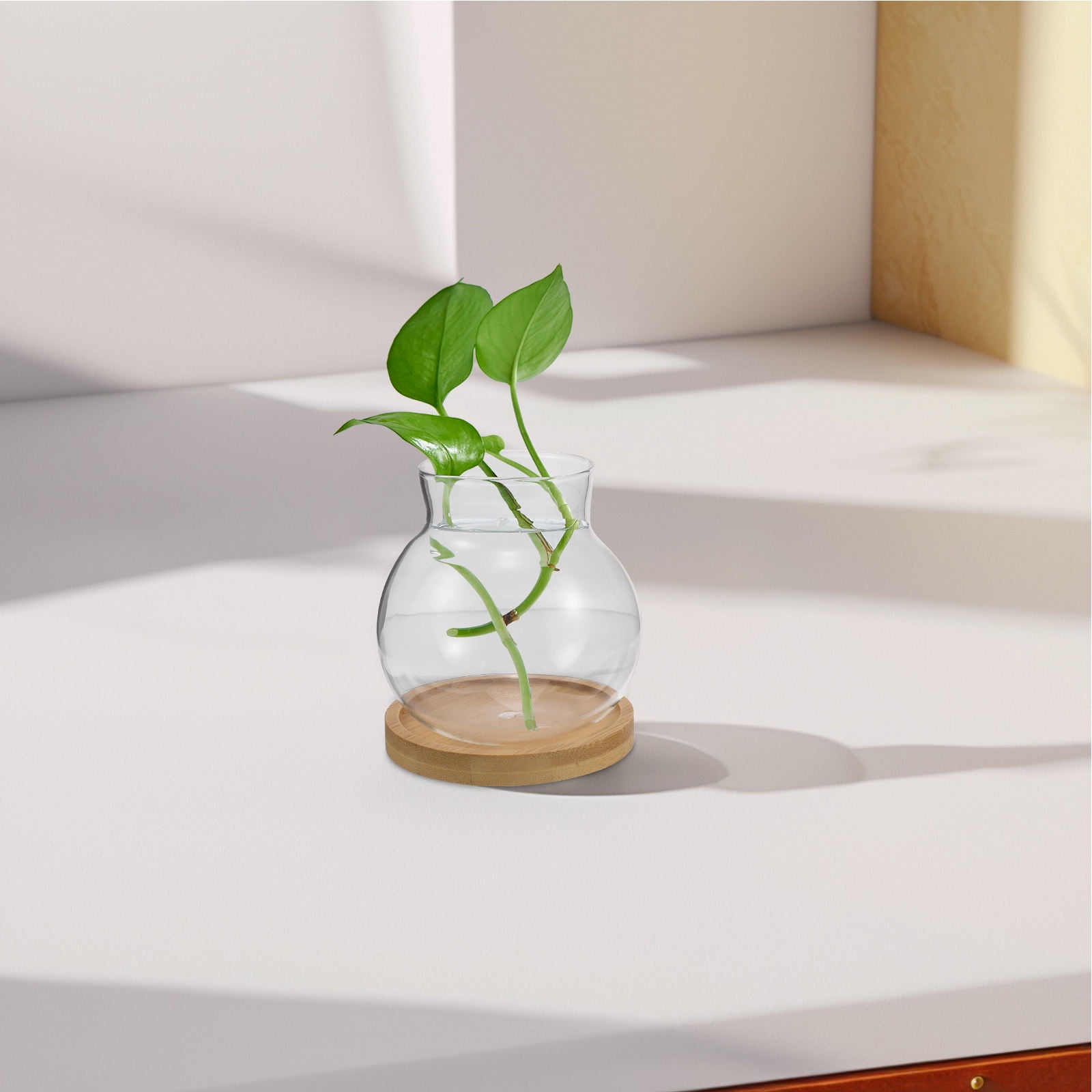 LIFKOME 2 Sets Desktop Vase Glass Flower Vase Hydroponic Plant ...