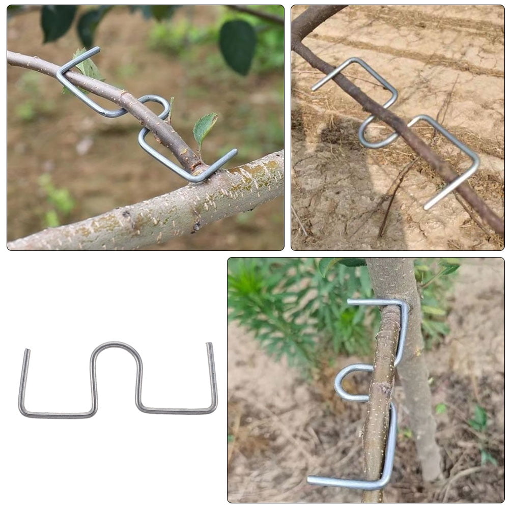 LIFKOME 20 Pcs Fruit Tree Branch Puller -Shape Fruit Tree Branch ...