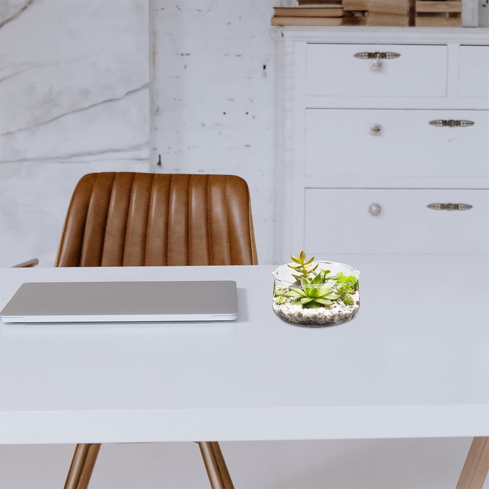 LIFKOME 2pcs Transparent Glass Terrarium for Hydroponic Plants Small ...