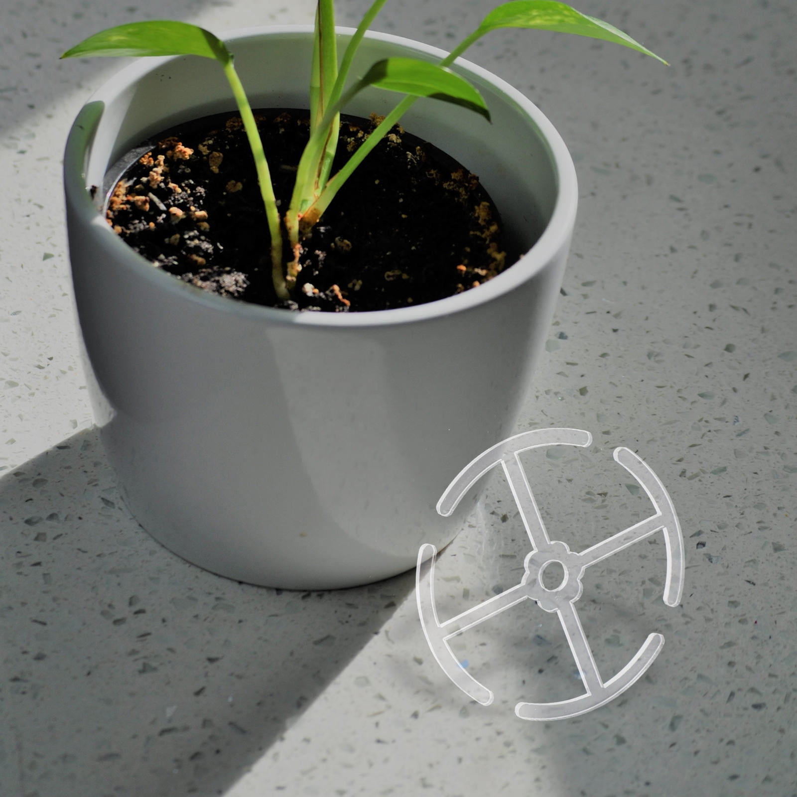 LIFKOME Acrylic Bonsai Floral Stem Holder for Indoor Plants ...