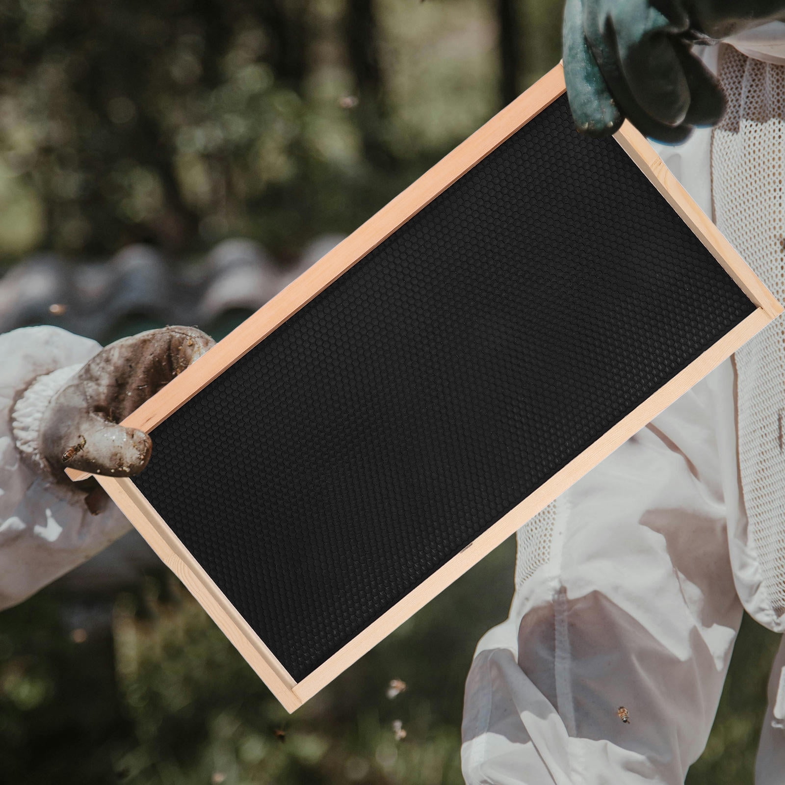 LIFKOME Beekeeping Supplies Hive Frames Beekeeping Frame Holder Frame ...