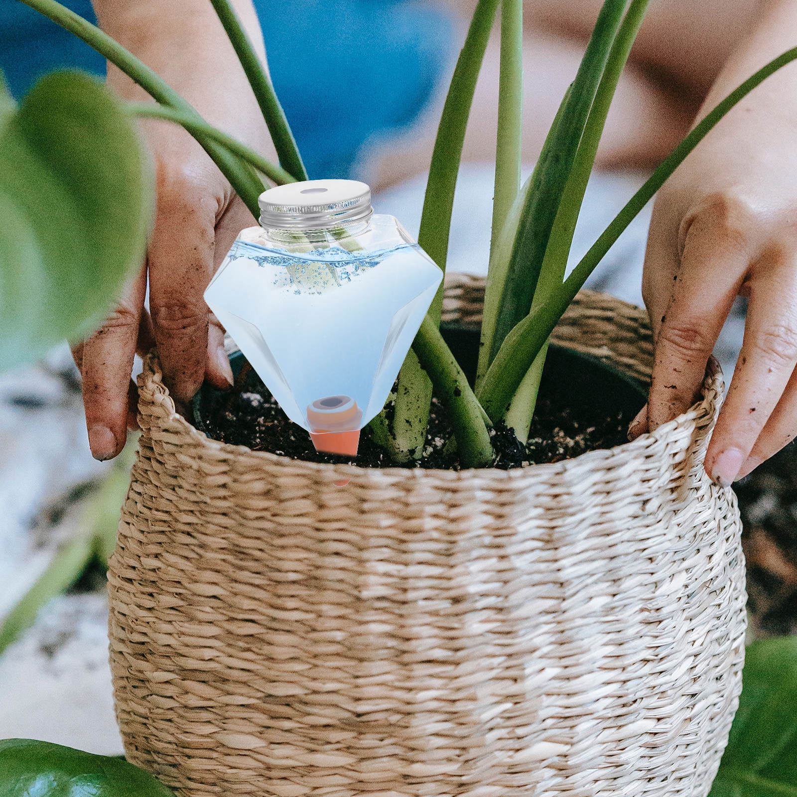 LIFKOME Convenient Plant Watering Device Self-Watering Spikes For ...