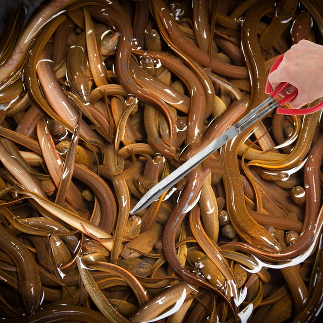 LIFKOME Crab Tong Multi-function Anti-slip Clamp Seafood Clip Crab Tong ...