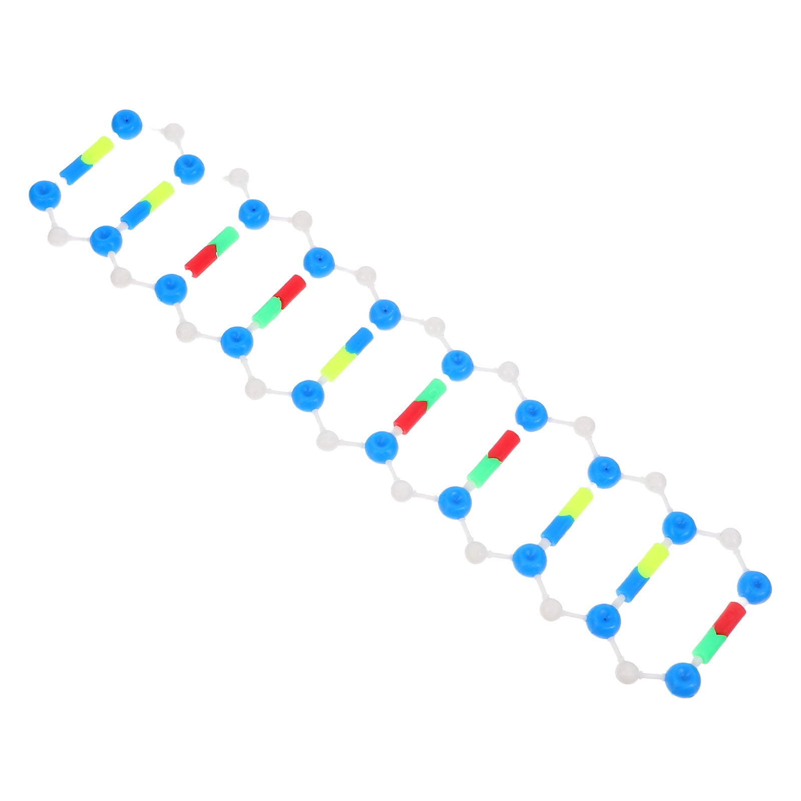 LIFKOME Educational Dna Model For Students Double Helix Structure For ...