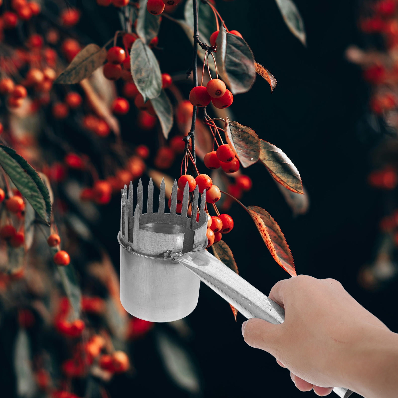 LIFKOME Fruit Picker Head Basket Catcher Picking Artifact - Walmart.com