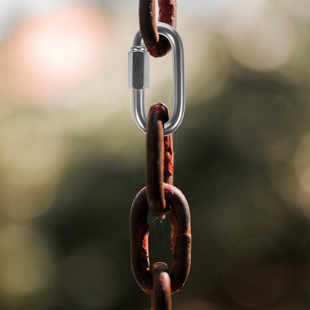 LIFKOME Hemoton 2pcs Small Carabiner Clips for Safety Heavy Duty Spring ...