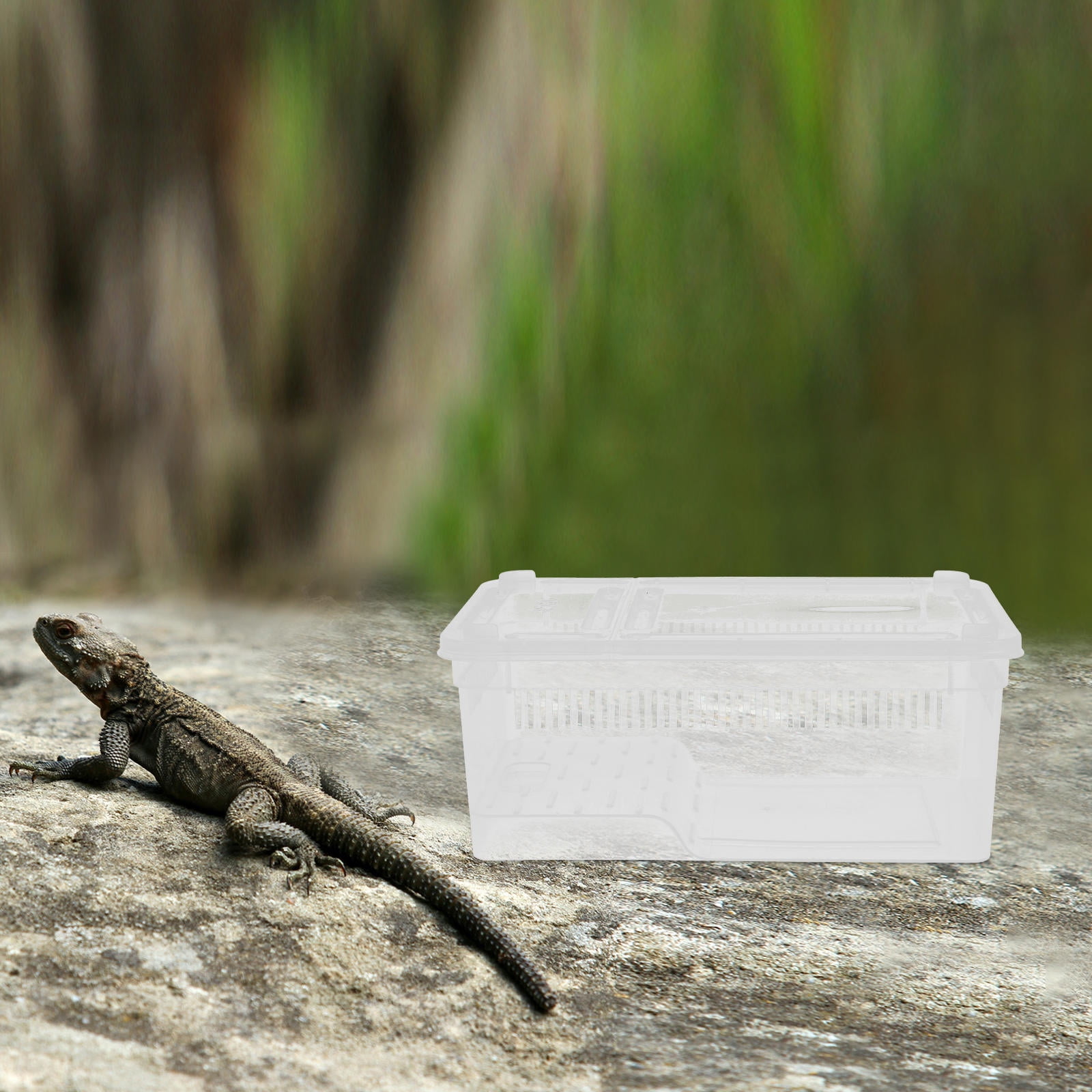 LIFKOME MLINS Clear Plastic Reptile Carrier Transparent Hatching ...