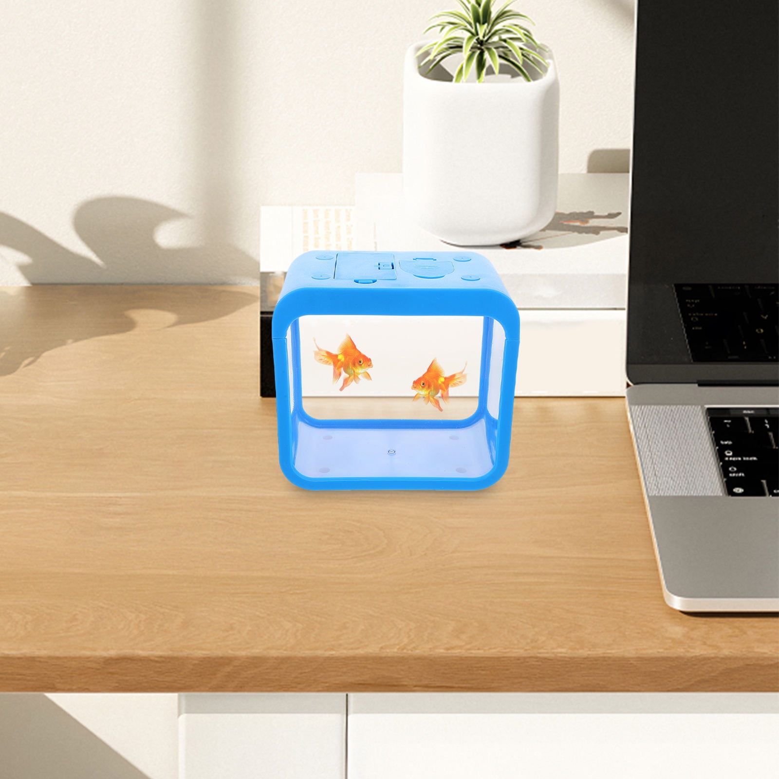 LIFKOME Mini Fish Tank with Light Desktop Aquarium for Betta Fish ...