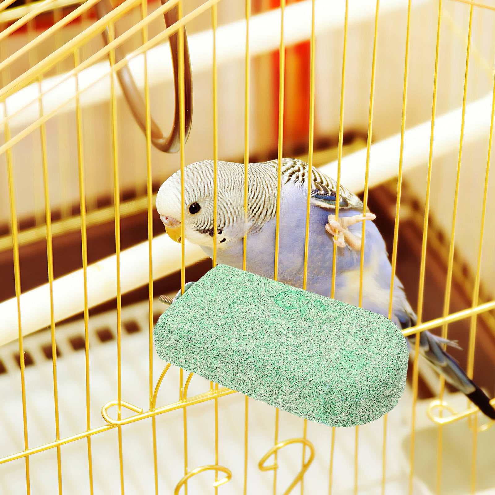 LIFKOME Parrot Perch Platform with Calcium Stone for Safe Chewing and ...