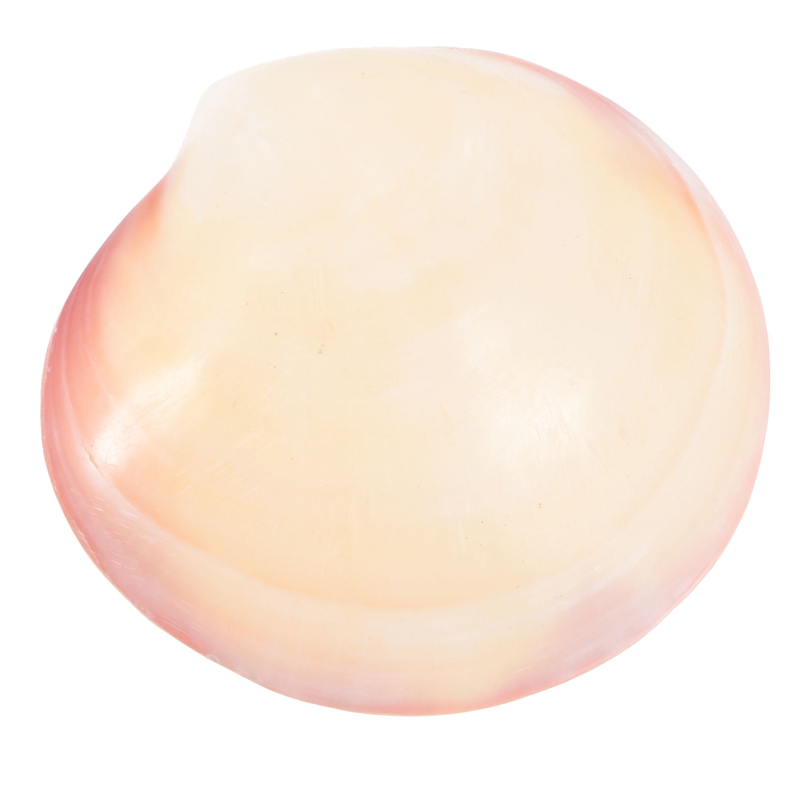 LIFKOME Pearl Clam Storage Box Decorative Trinket Case Shells ...