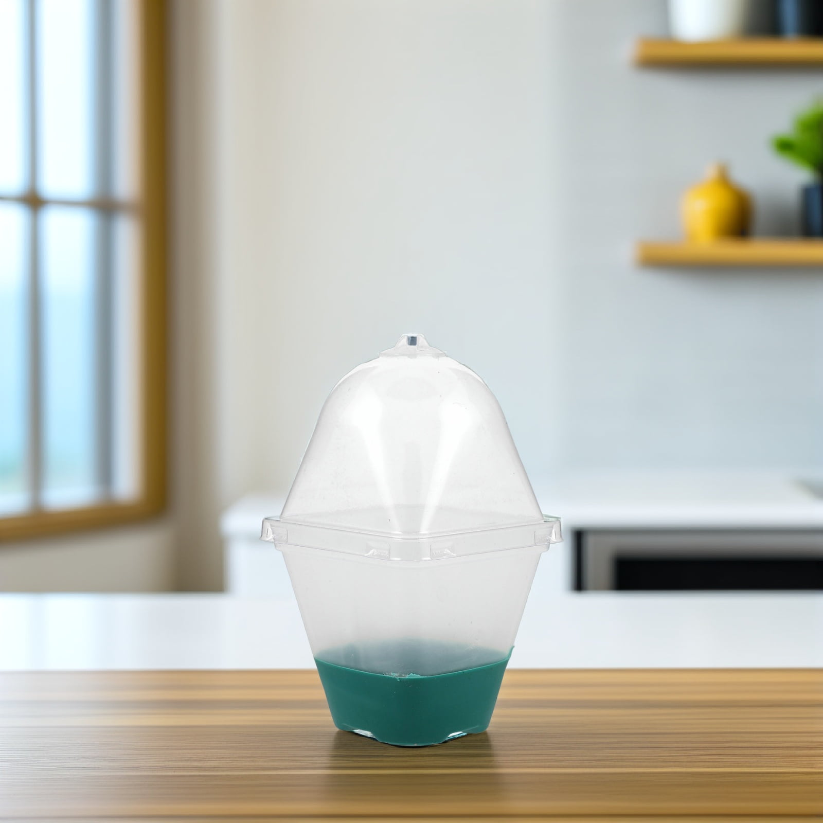 LIFKOME Raindrops 6pcs Clear Small Nursery Pot with Humidity Domes ...