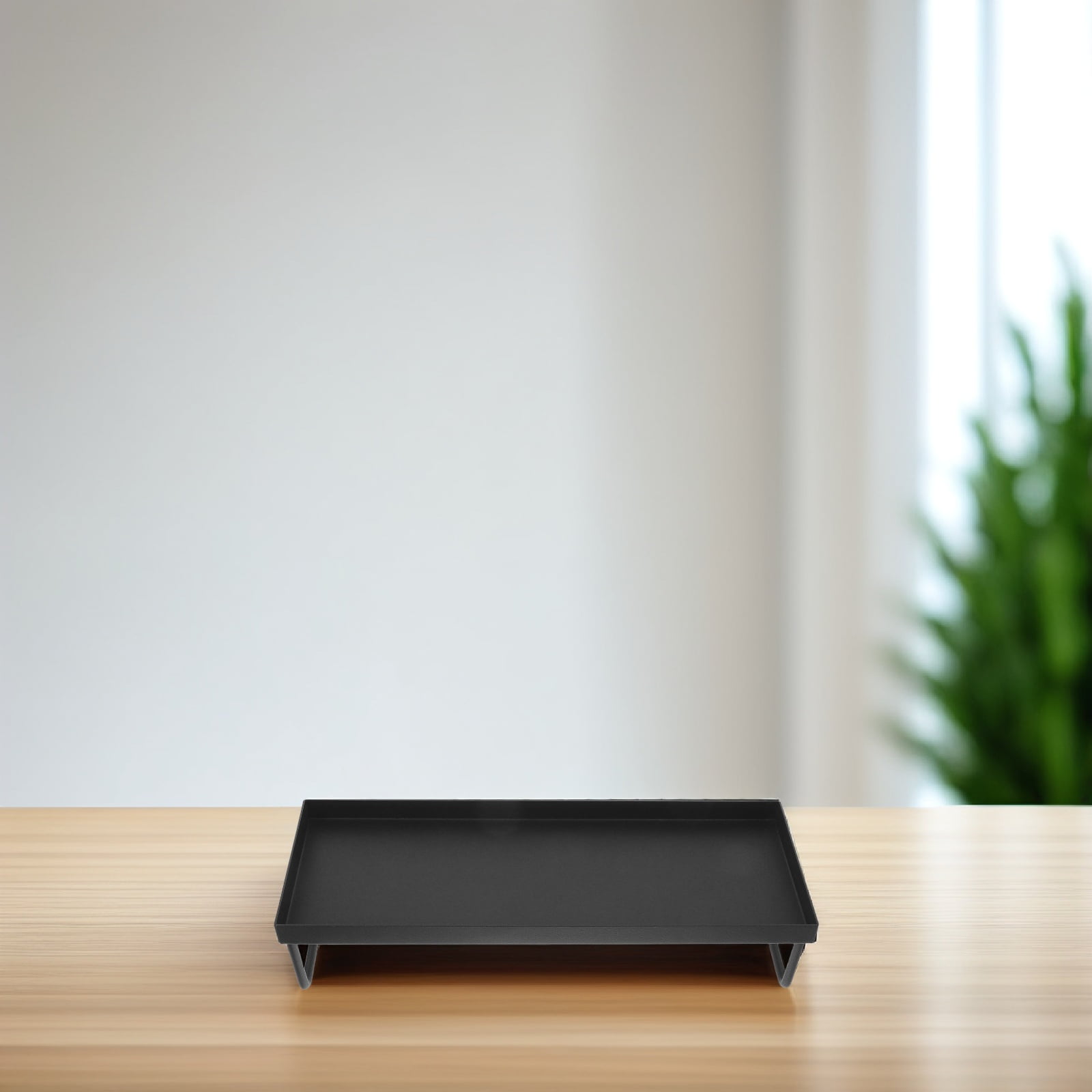 LIFKOME Rectangular Plants Planter Tray Micro Landscape Plants Tray ...