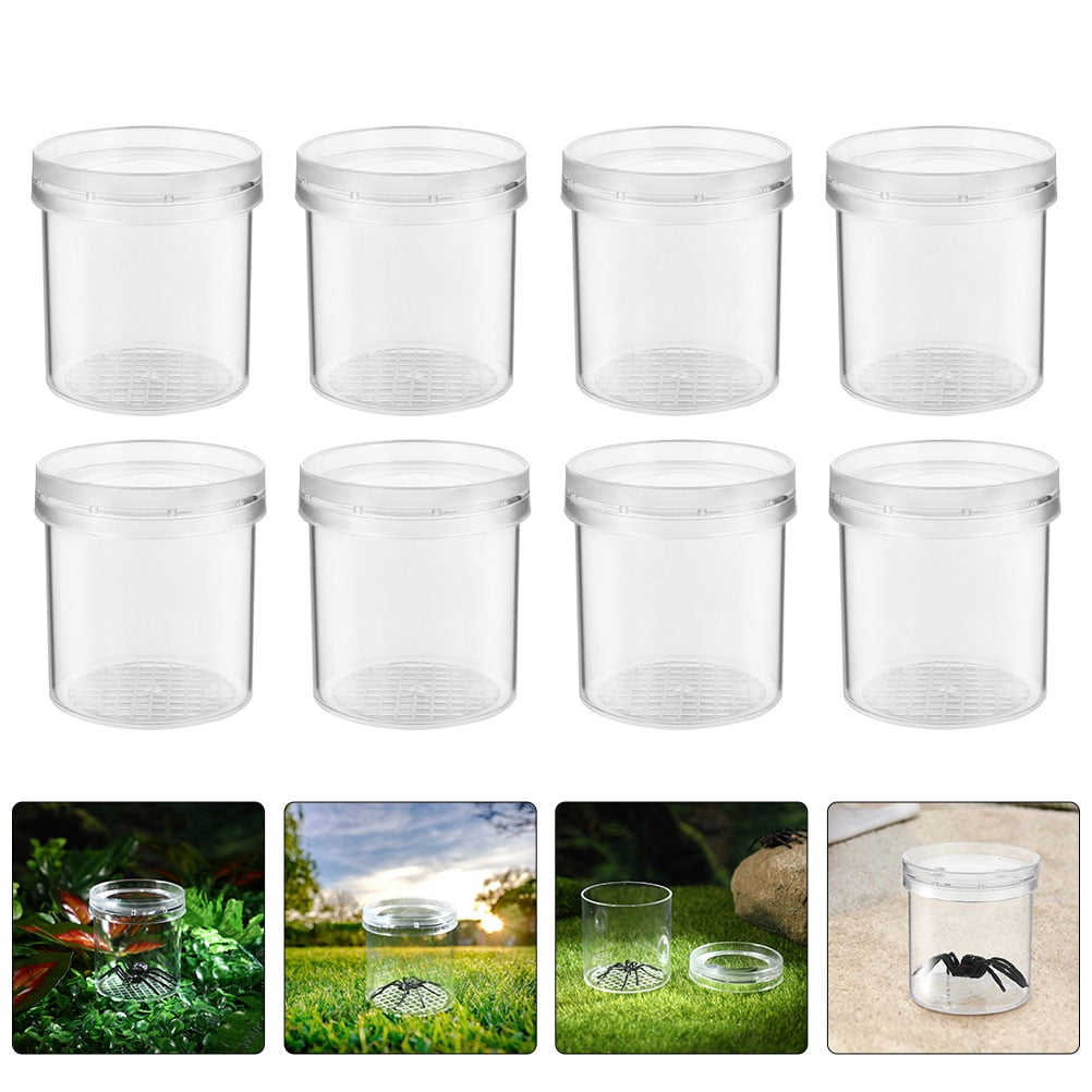 LIFKOME Transparent Plastic Catcher Viewer for Insect Observation with ...