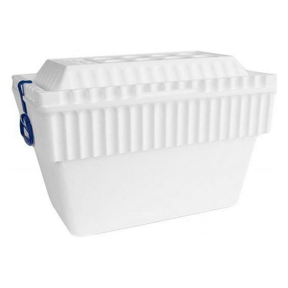 Foam Cooler Box