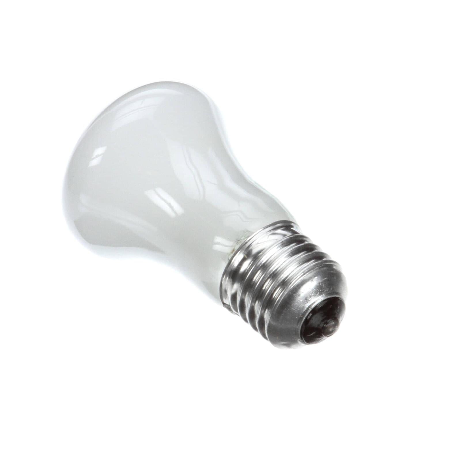 LIGHT BULB 230V 25W 2S-Z11021 - Genuine OEM Replacement Part - Walmart.com