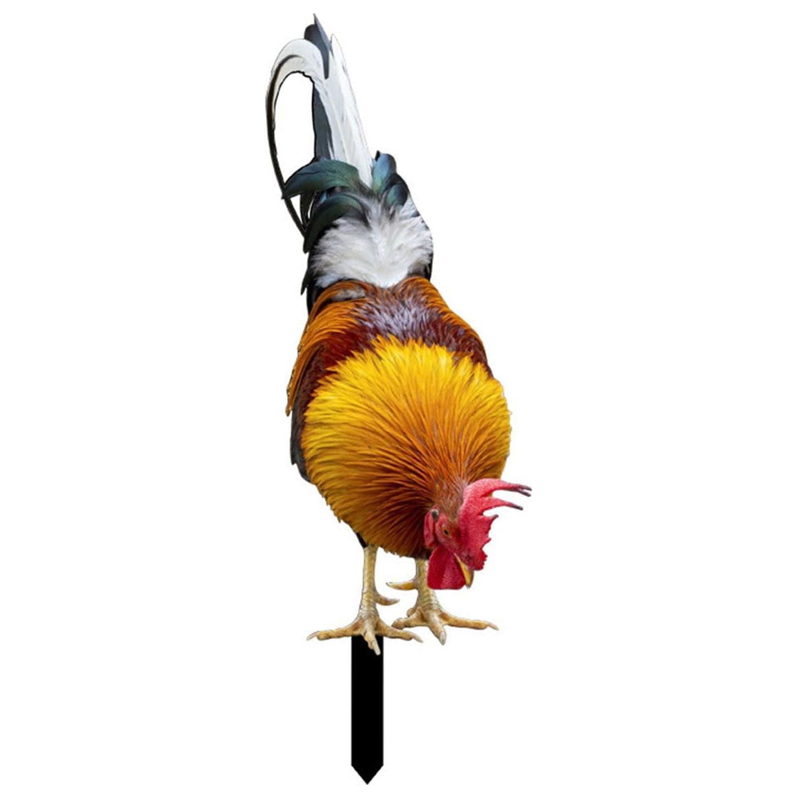 LIJCC Garden Decoration Inserts,Rooster Acrylic Outdoor Garden Ground ...