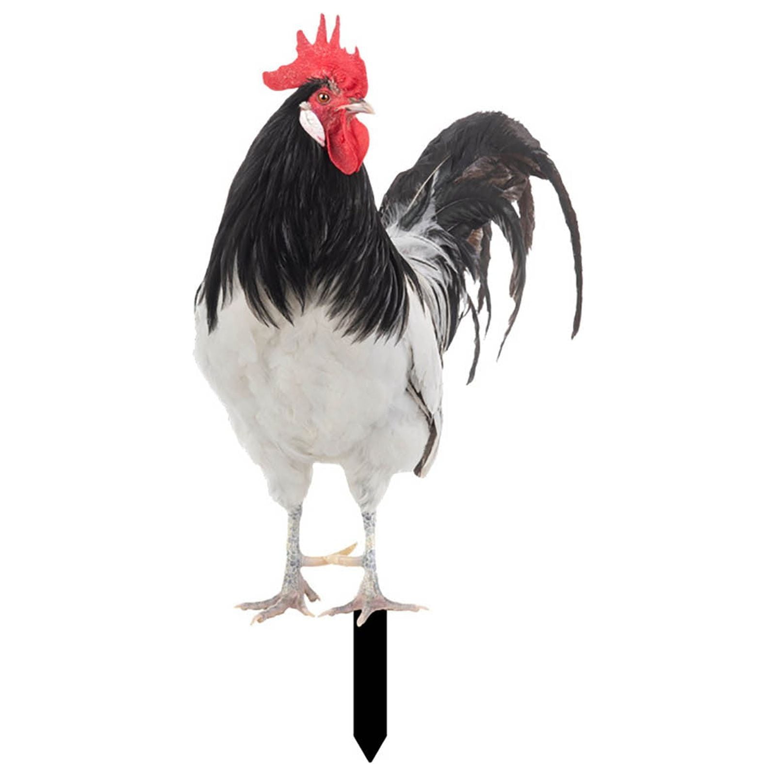 LIJCC Imitation Rooster Garden Ground Plug,Garden Decoration Fun Plug ...