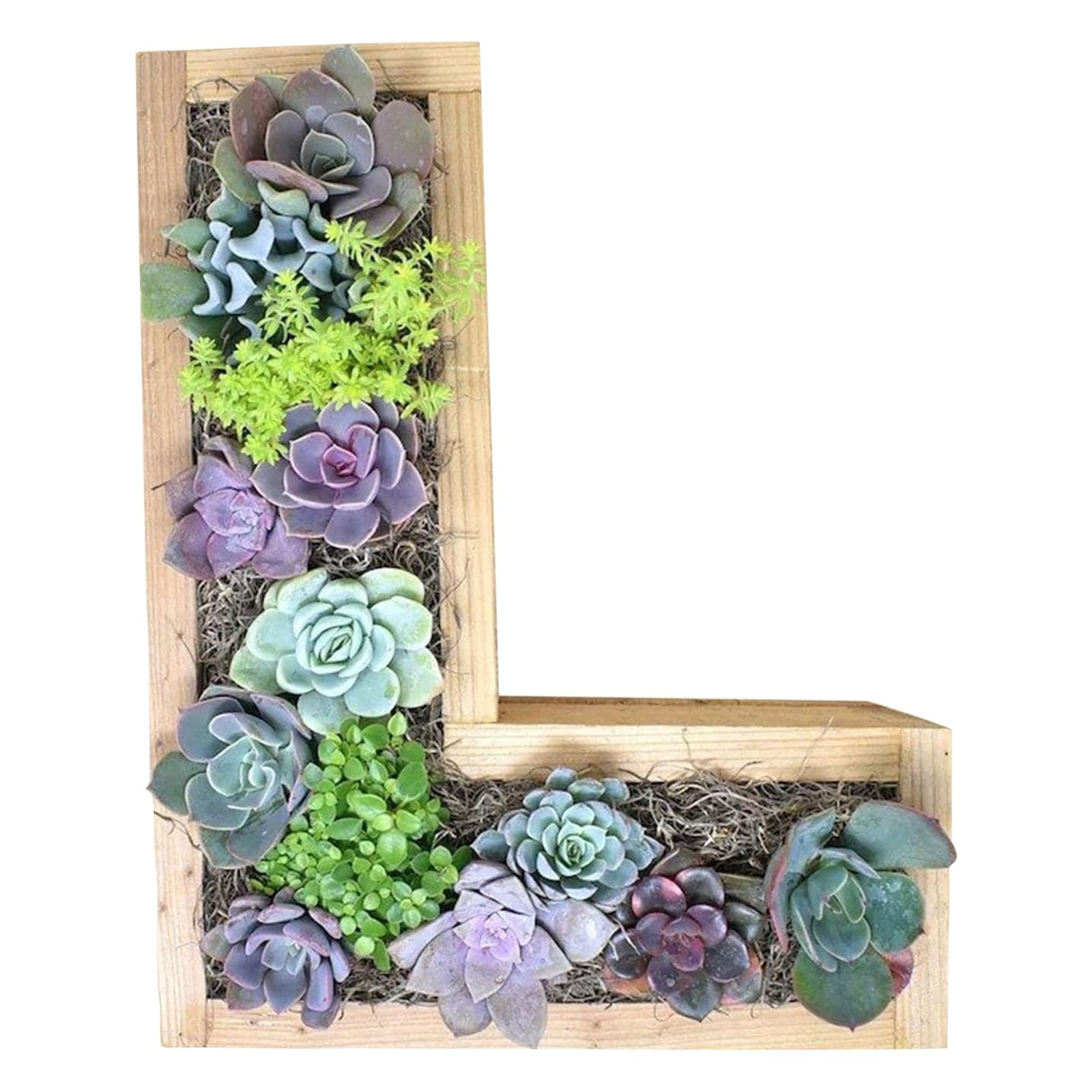 LIJCC Letter Pot Picking Succulent Sunflower Pot Decorative Wall Wooden ...