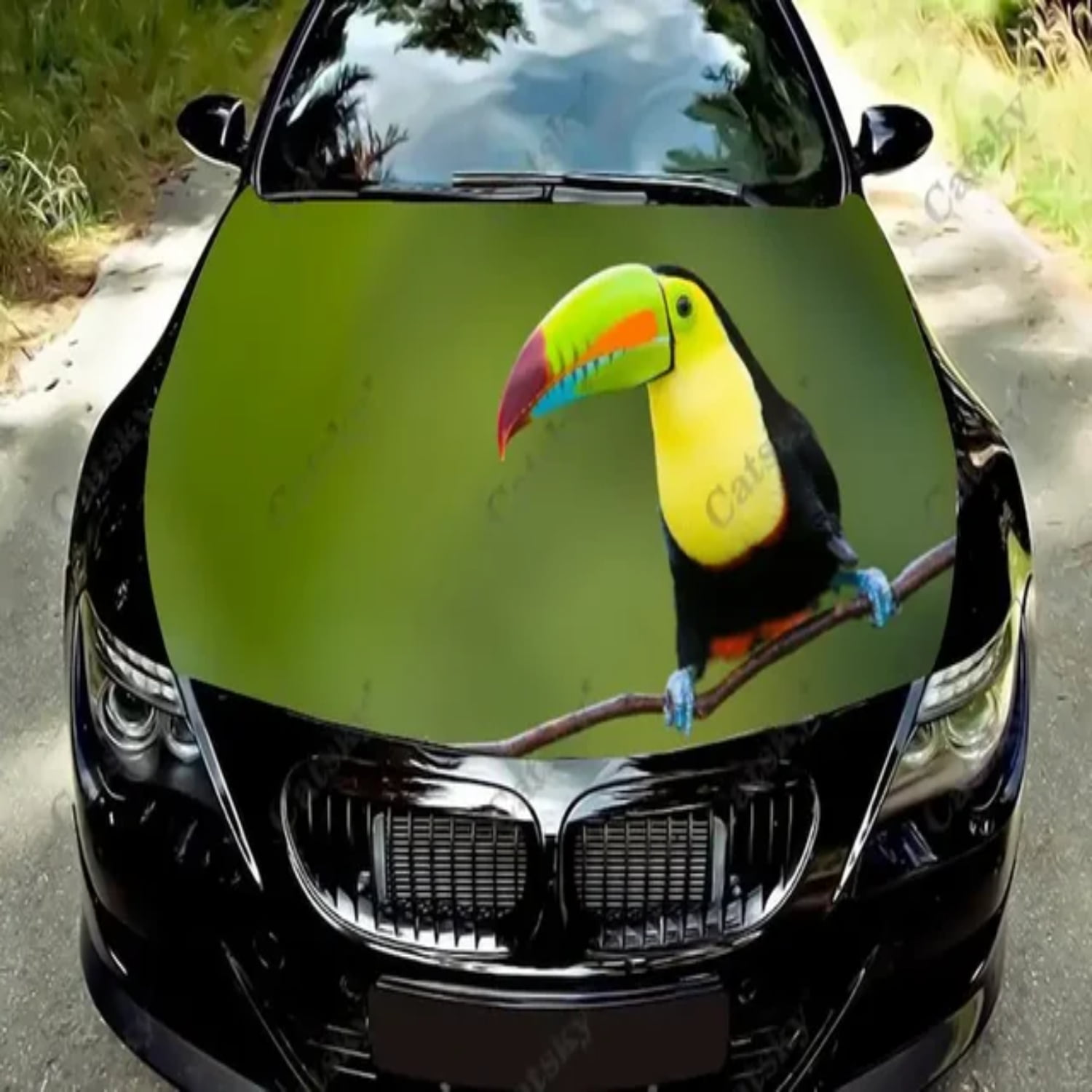 LIJIFSN Colorful Animal Toucan Car Hood Vinyl Stickers Wrap - Durable ...