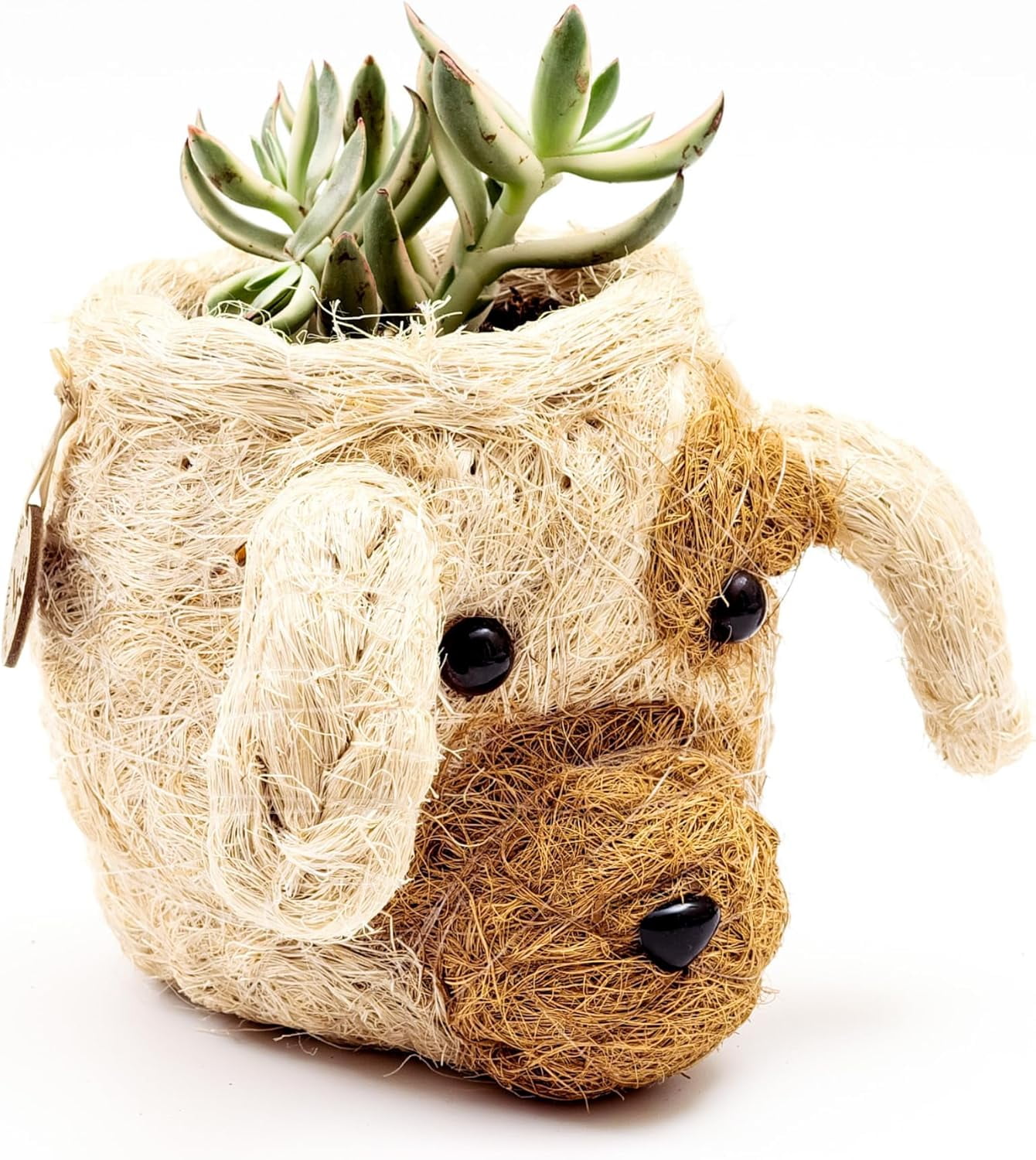 LIKHA Adorable Dog Head Planter - Handmade Eco-Friendly Planter for Indoor Plants Unique Coco ...