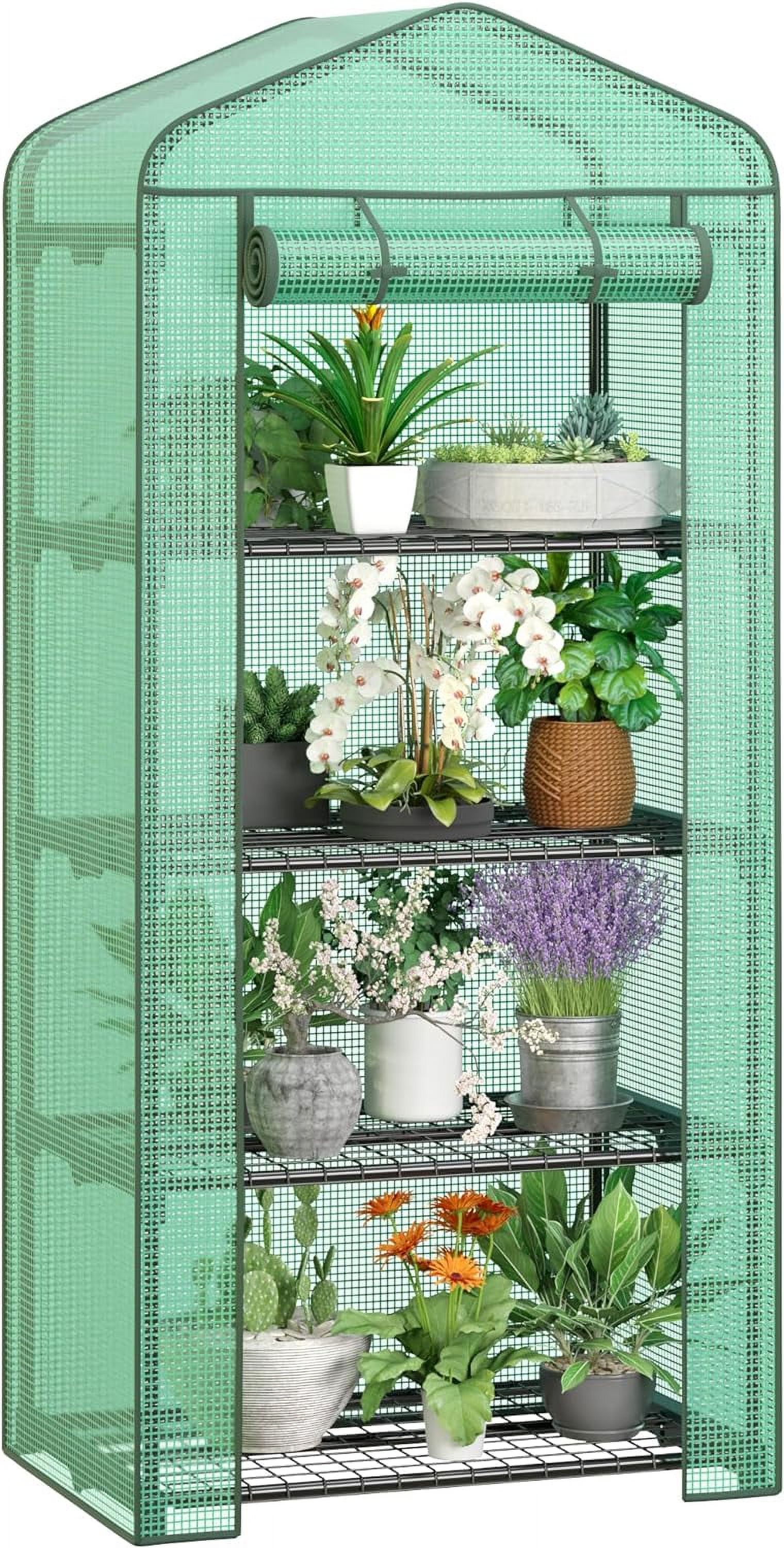 LILEYI Mini Walk-in Greenhouse 2-Tier 4-Shelf Indoor Outdoor Plant ...