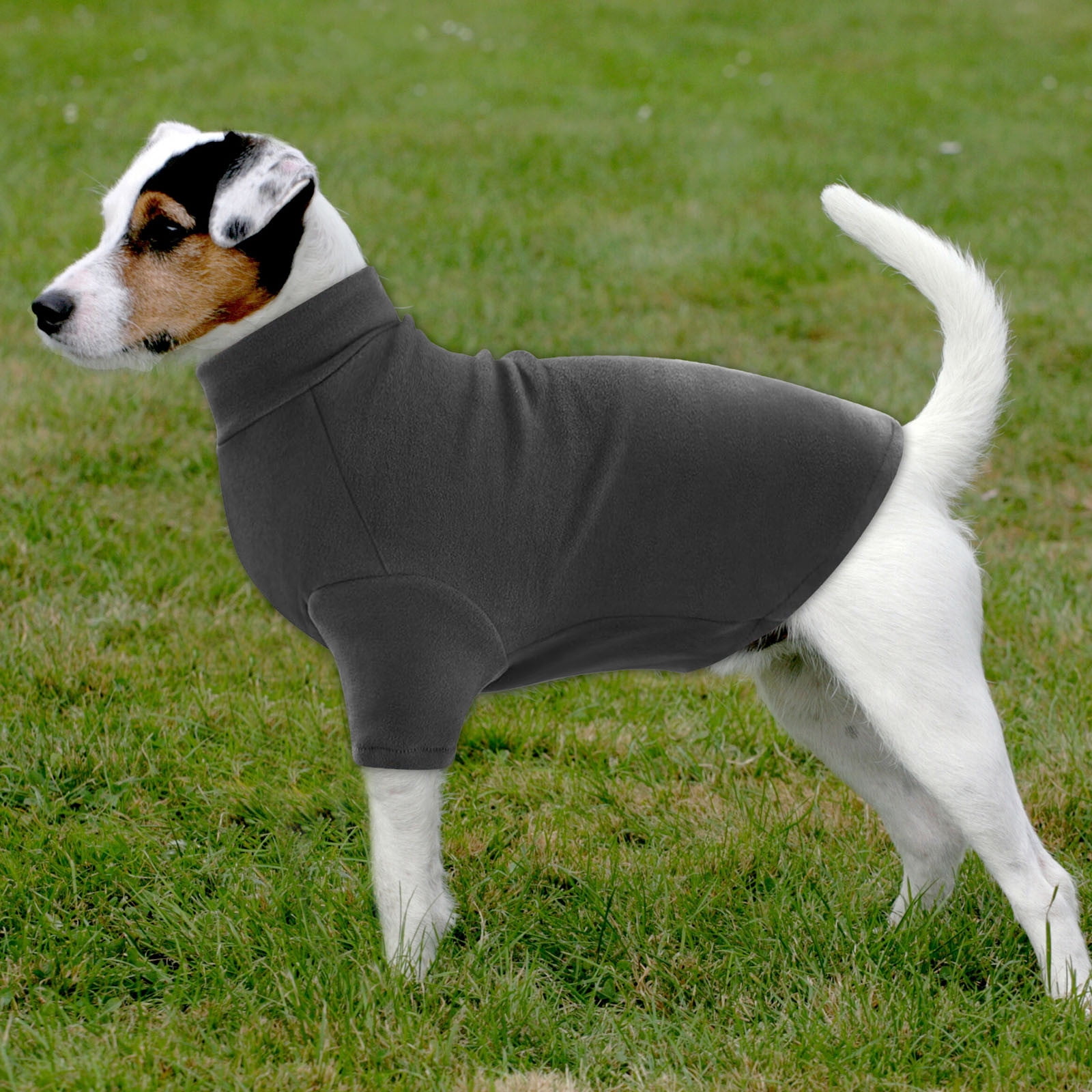 LILILNG Cat Clothes Soft Hairless Cat Clothes Pullover Cat Sweater for ...