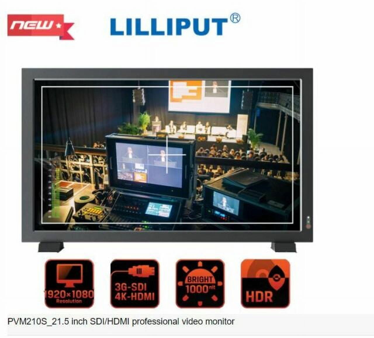 Public Viewing Monitor