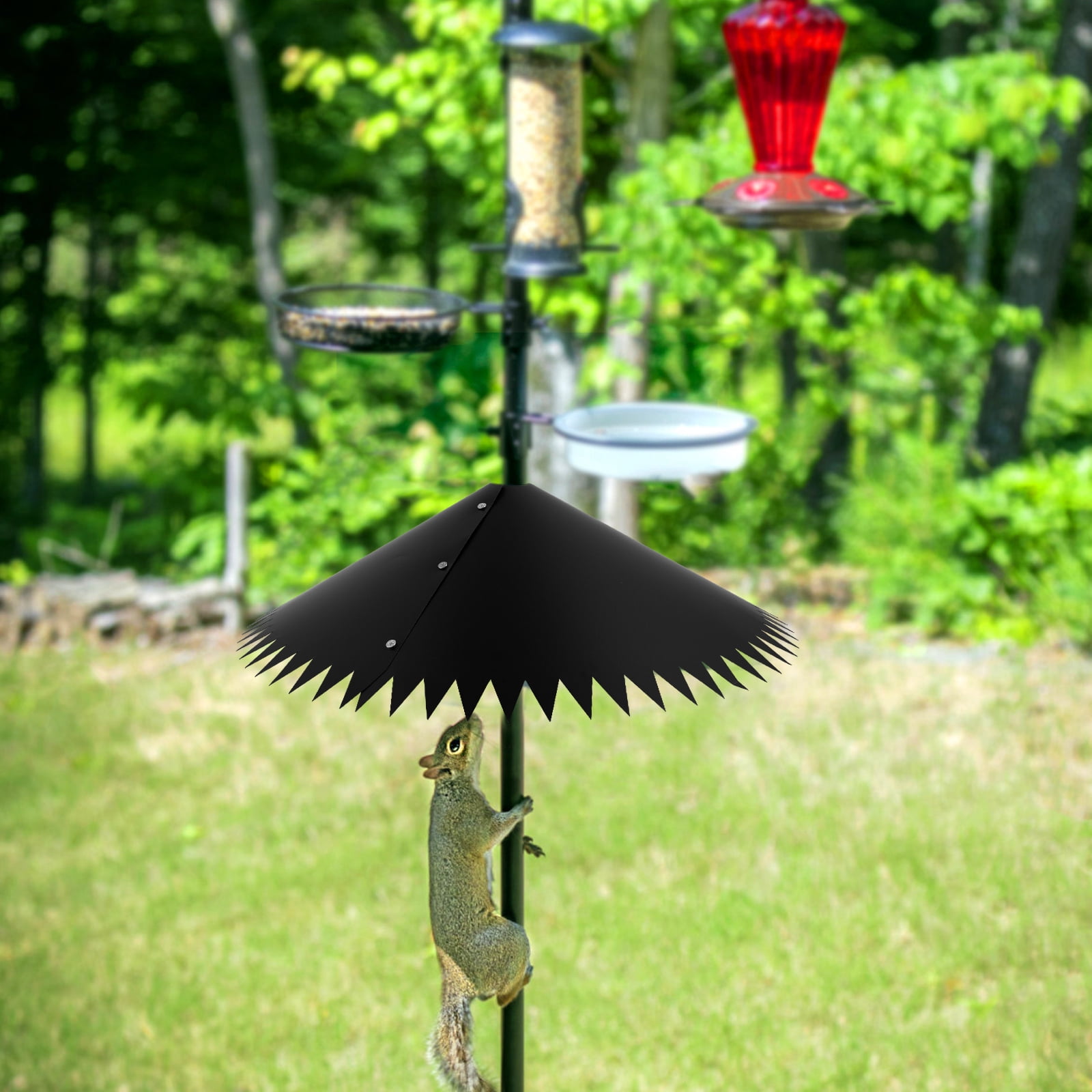 LINFANG Serrated Squirrel Proof Baffle for Bird Feeder Poles 19inch ...
