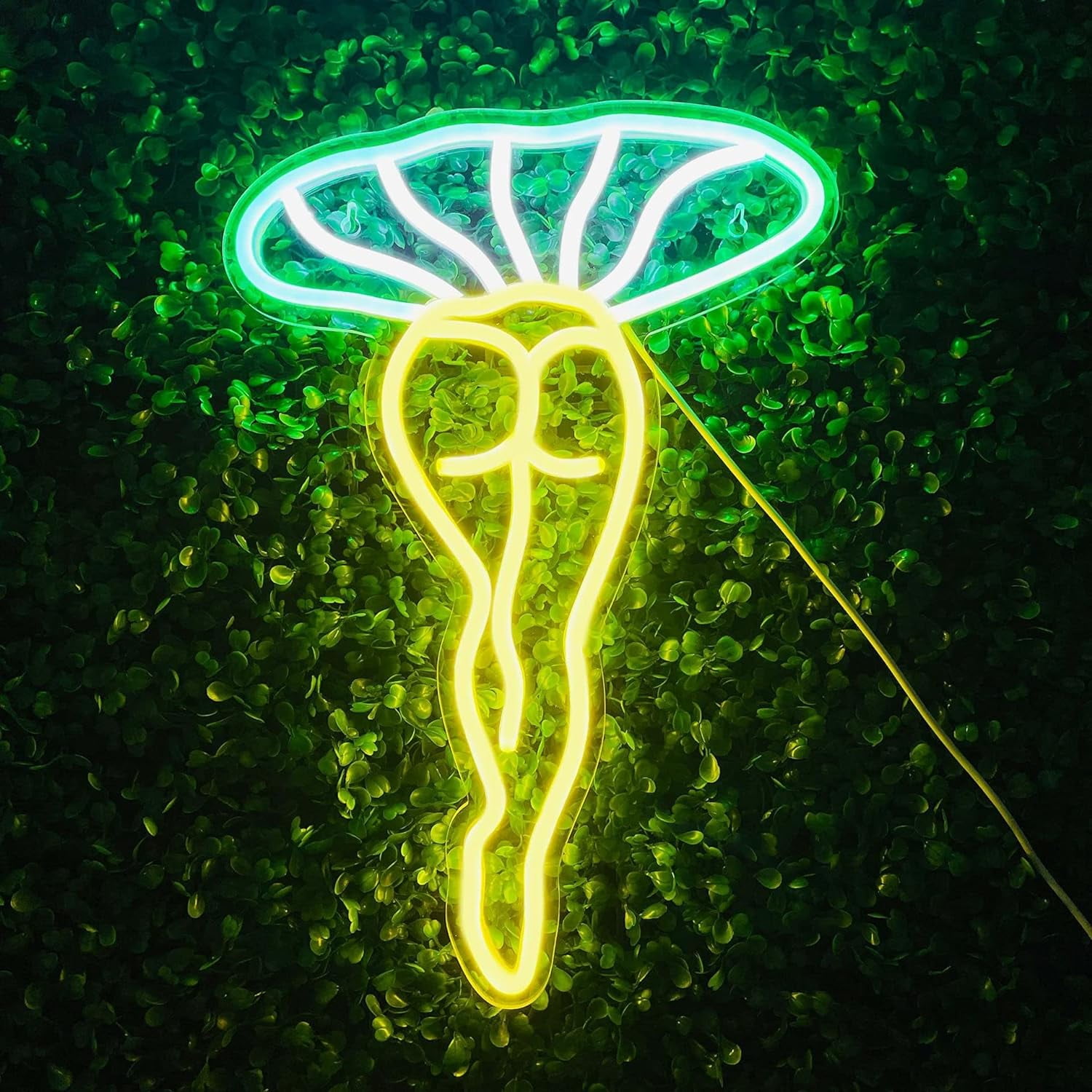 LINLIN Neon Night Light,Neon Sexy Woman Sign,Woman Body Neon Sign,USB ...