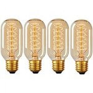 LINLIN Vintage Edison Light Bulb,E26 40W T45 Antique Edison Tubular ...