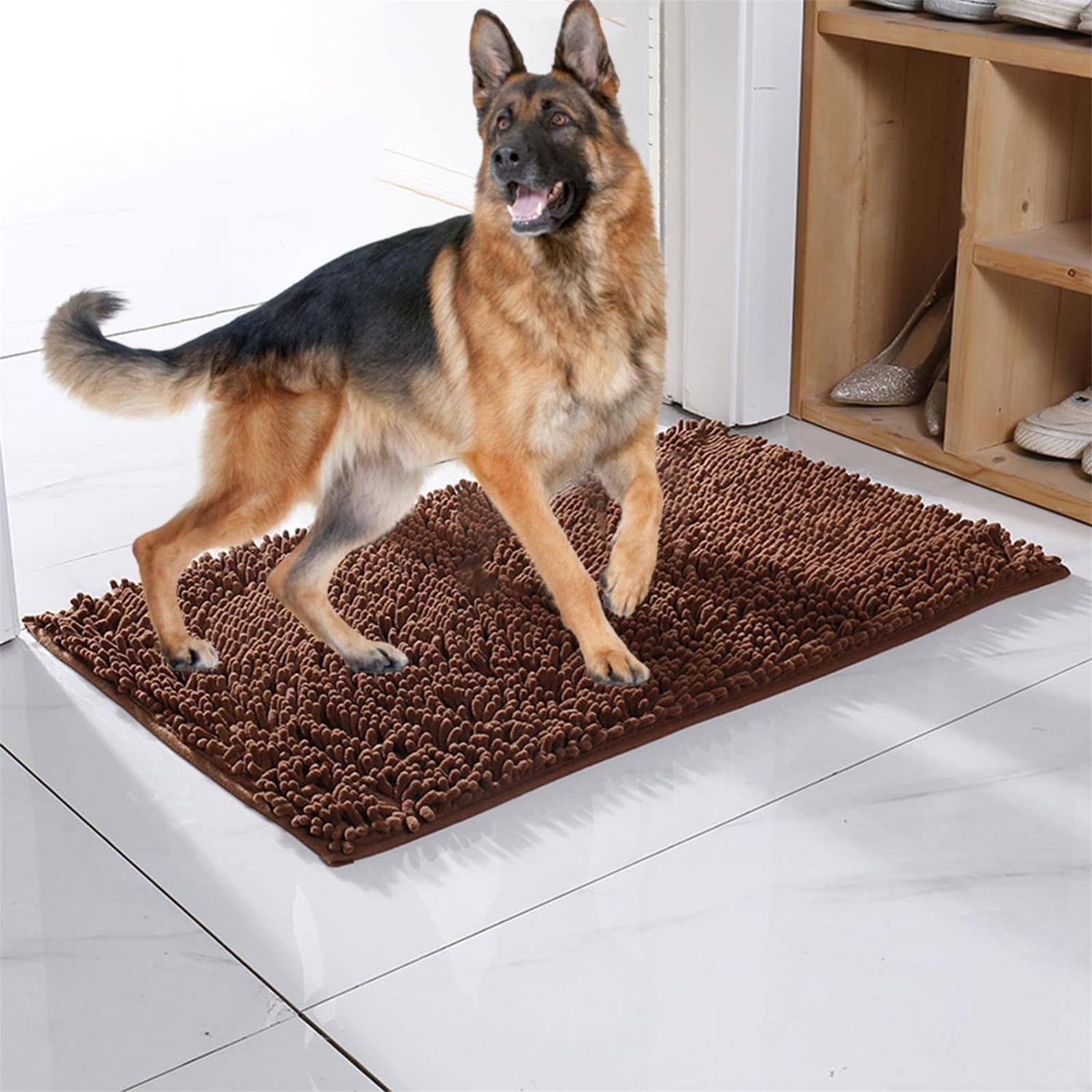 LINMOUA Dog Door Mat for Muddy Paws, Absorbent Dirt Trapper Non-Slip ...