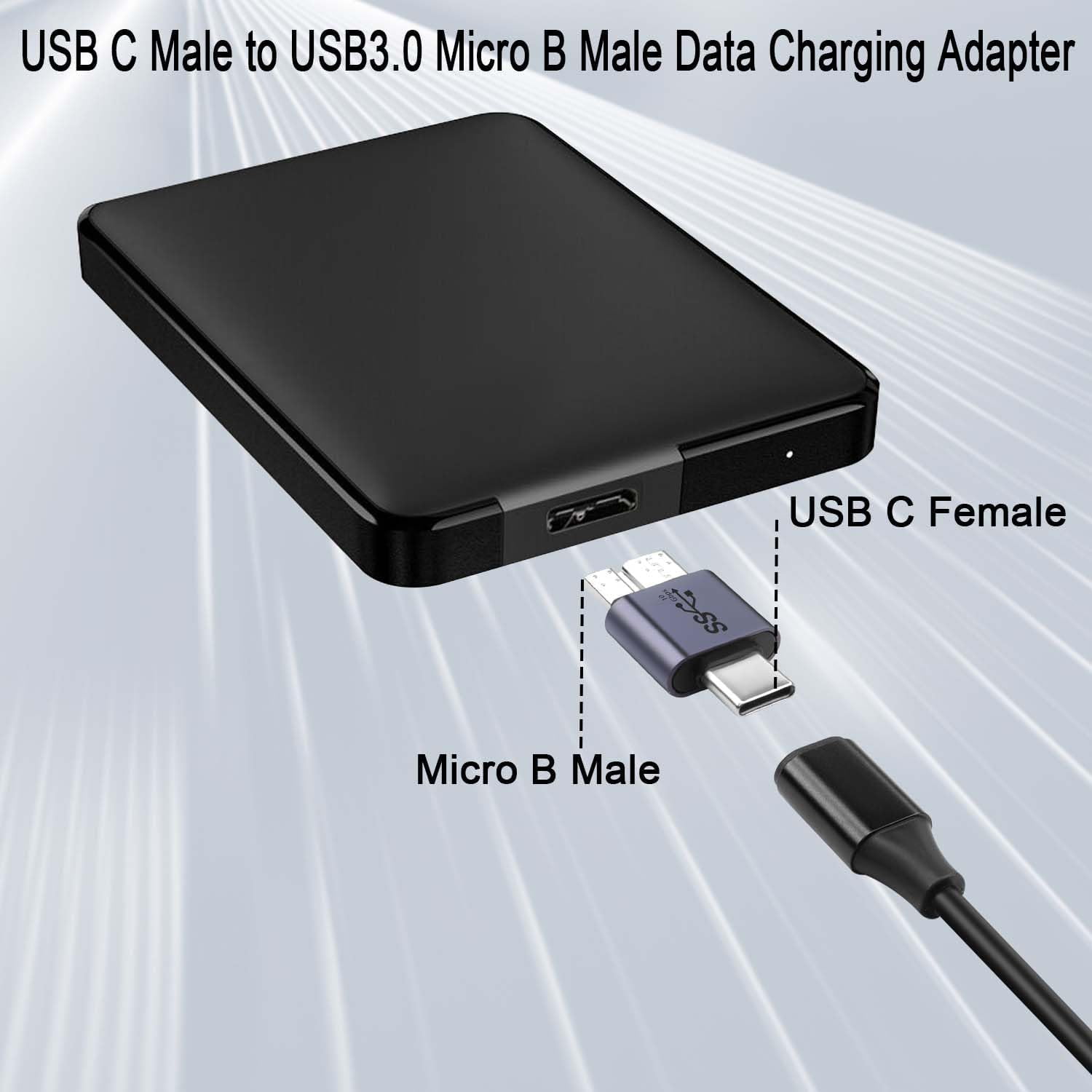 LINYAN-10Gbps USB C to Micro B External Hard Drive Adapter USB Type C ...