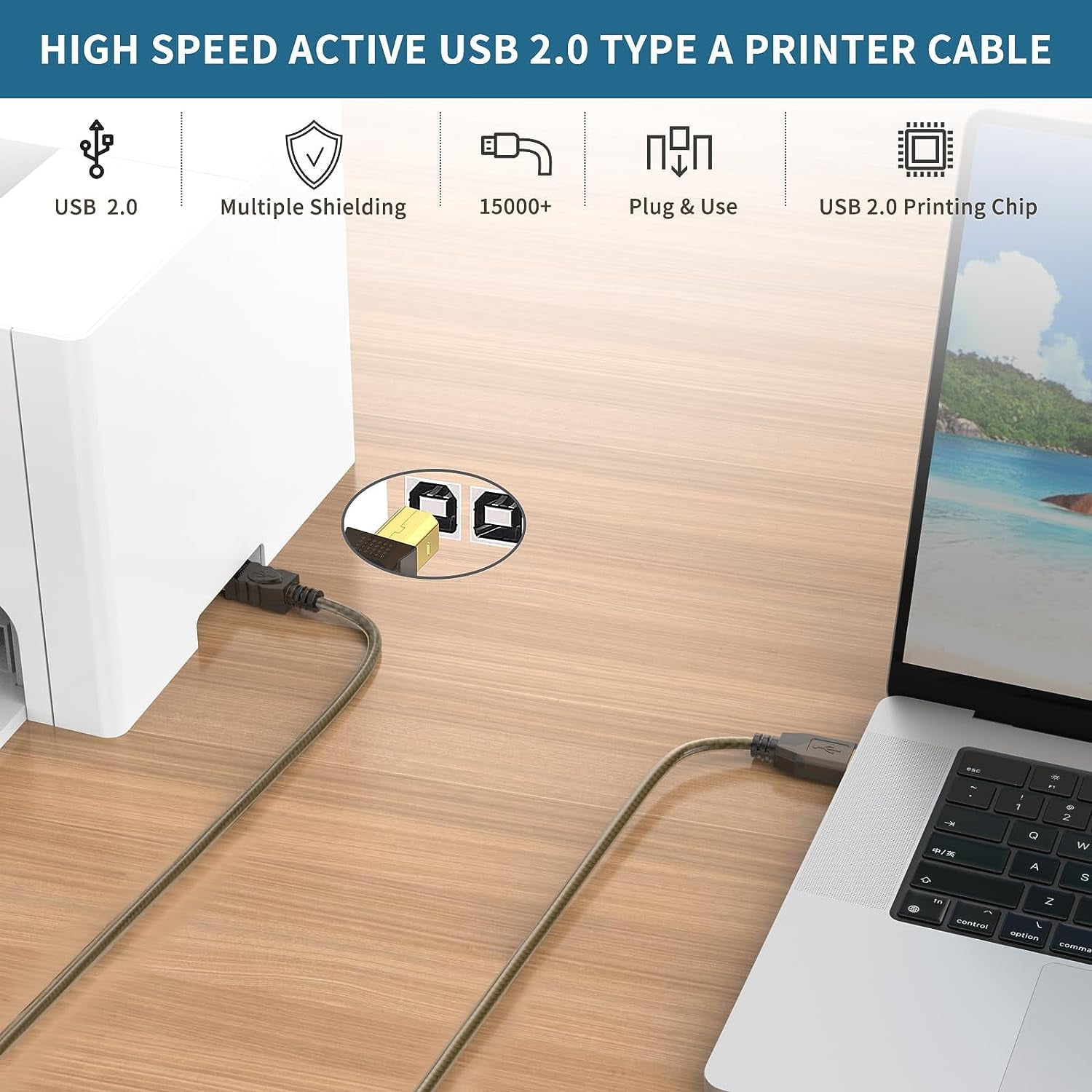 LINYAN-USB 2.0 Printer Cable 50ft - High Speed Active A to B Cord for ...