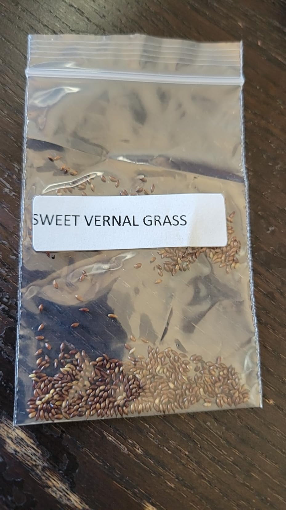 LION OF JUDAH MARKET Sweet Vernal Grass MHD1Seeds 250 Count, Green ...