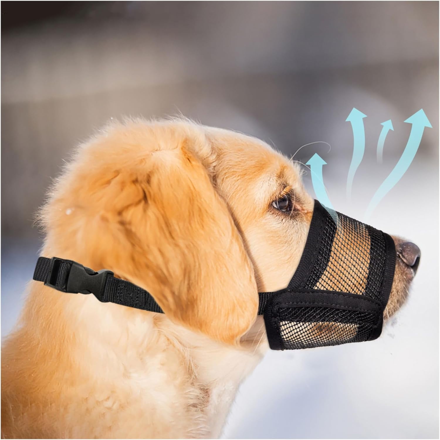 LIOUCBD Dog Muzzle for Large Dogs - Air Mesh Muzzle for Large Sized Dog ...