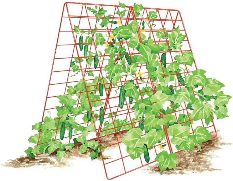 LIQI Supply Company Deluxe Cucumber Trellis | Easy to Install Raised ...