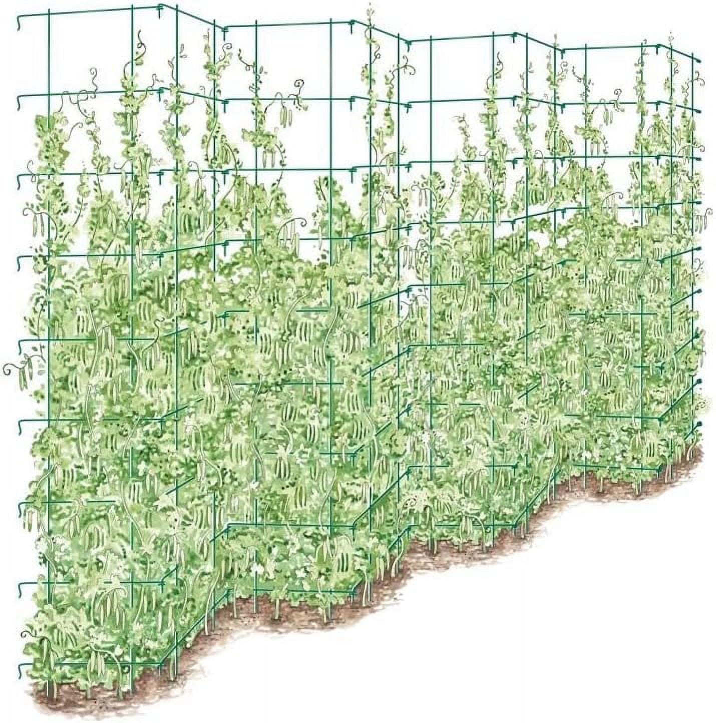 LIQI Tall Expandable Pea Trellis for Outdoor Plants | Sturdy Garden ...