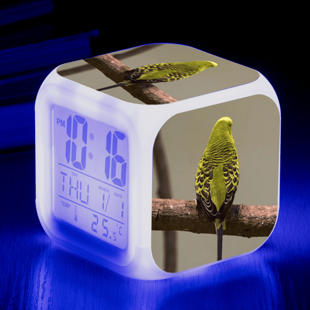 LISACANN Digital Alarm Clock for Kids, Cartoon Parrot Pattern 7 LED ...