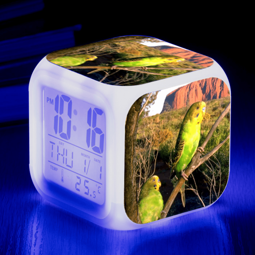 LISACANN Digital Alarm Clock for Kids, Cartoon Parrot Pattern 7 LED ...