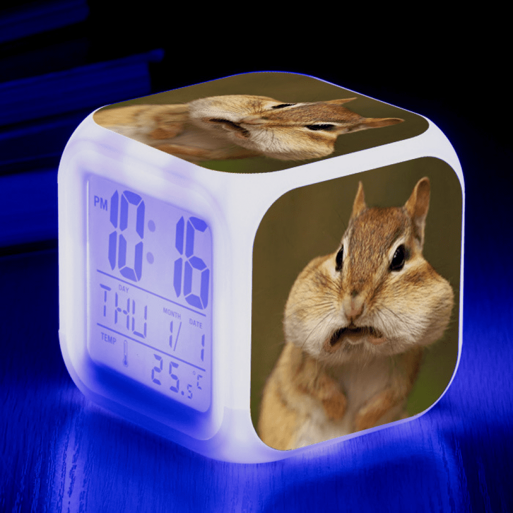 LISACANN Digital Alarm Clock for Kids, Cartoon Squirrels Pattern 7 LED ...