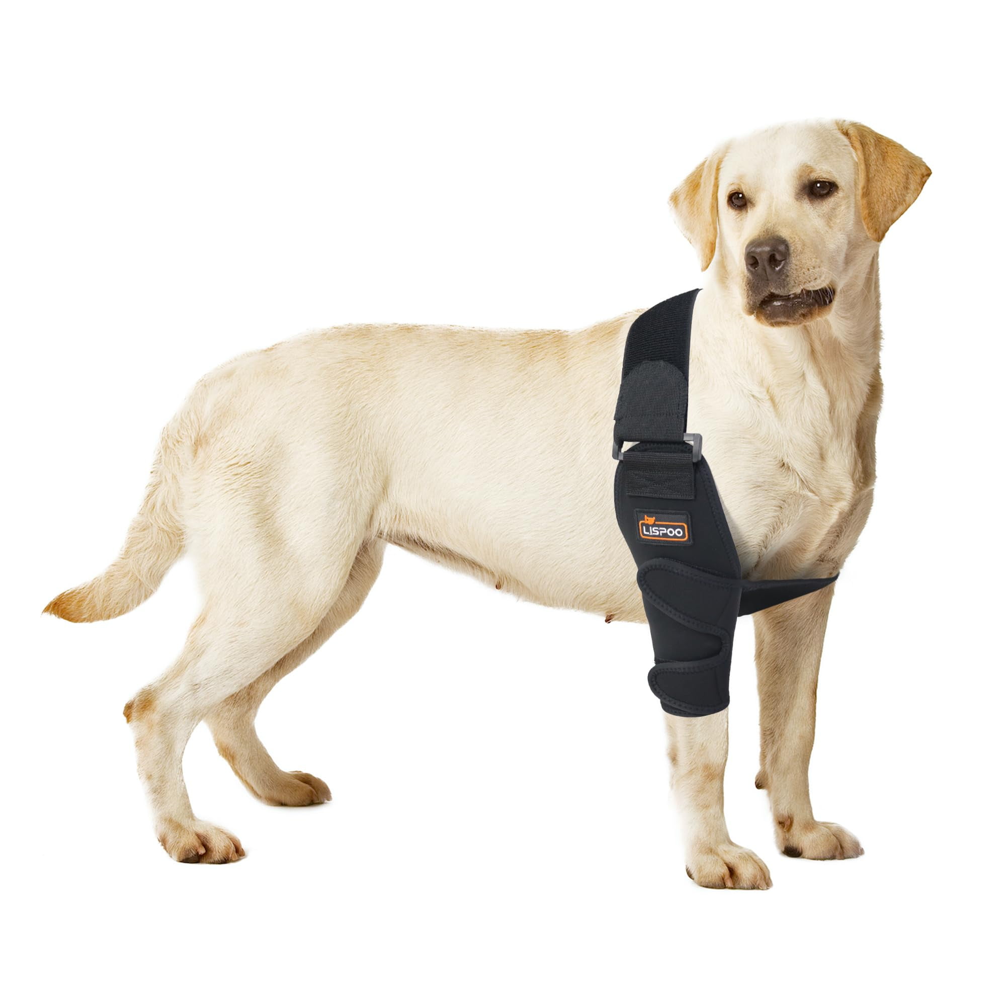 LISPOO Dog Elbow Dysplasia YYF14 Brace Protector for Elbow Arthritis ...