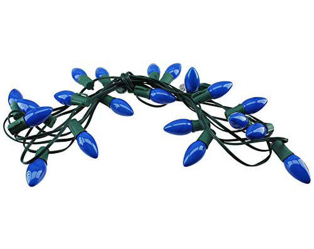 LITE-WAY LITE-WAY Holiday Indoor/Outdoor String Lights, 25? Pro-Series ...