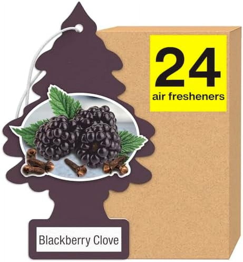 LITTLE TREES Air Fresheners Car Air Freshener. Hanging Tree Provides ...