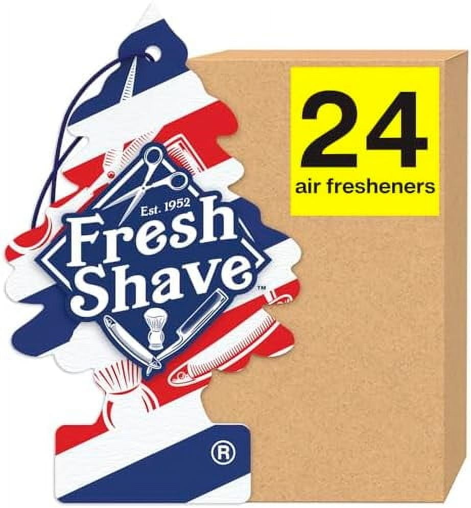 LITTLE TREES Air Fresheners Car Air Freshener. Hanging Tree Provides ...